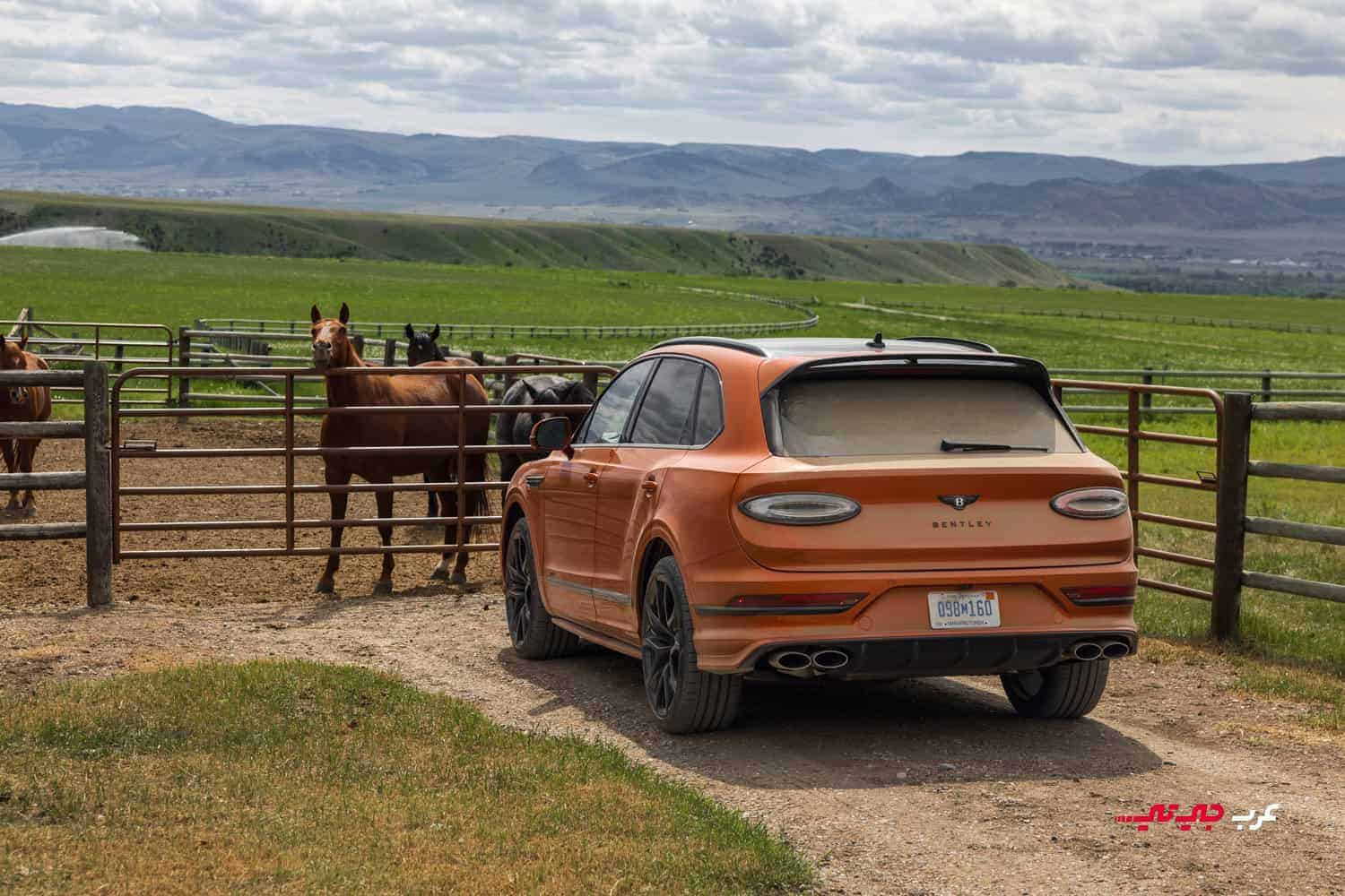 اسعار ومواصفات بنتلي بنتايجا سبيد 2026 | ArabGT